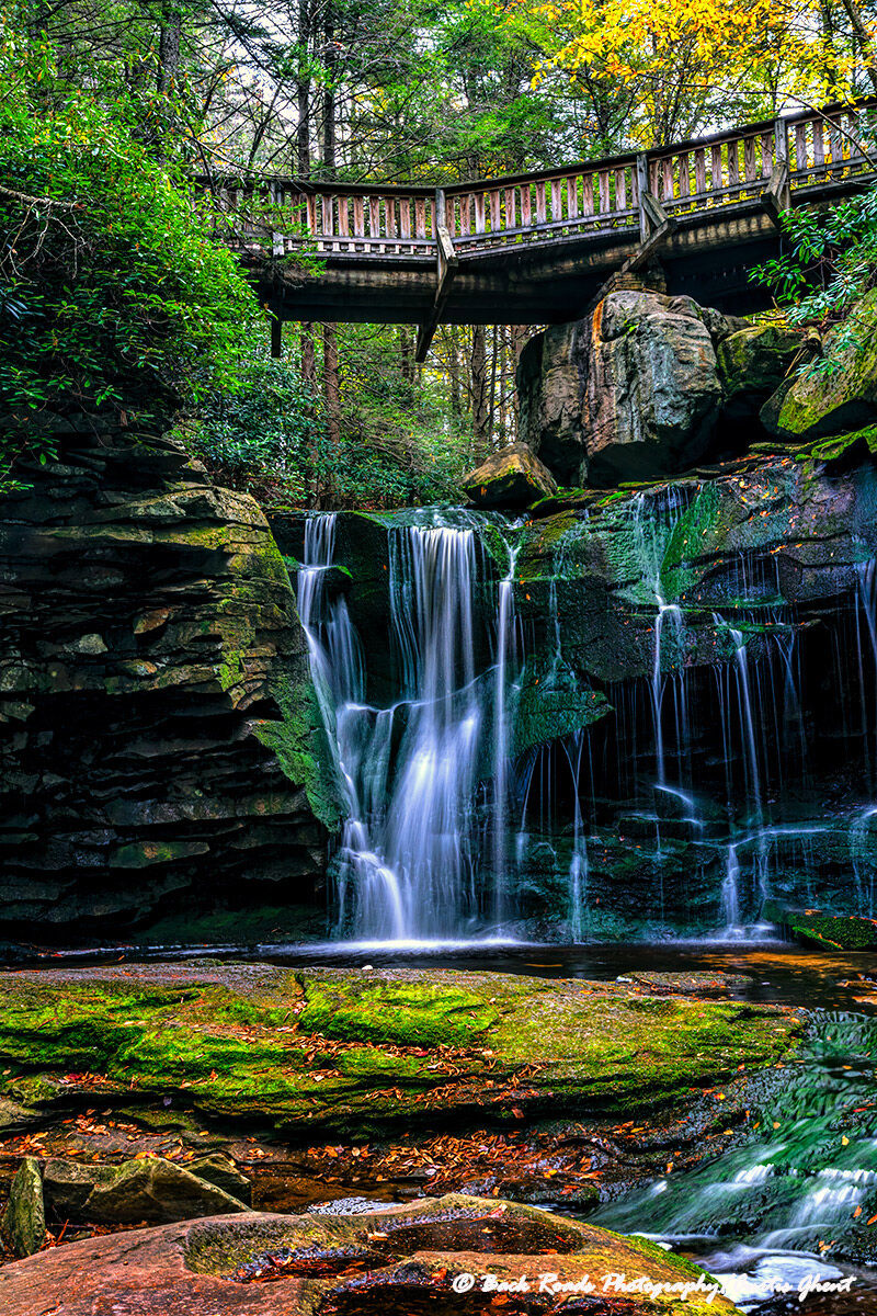 Elakala Falls II V | Blackwater State Park, Davis, West Virginia | Back ...
